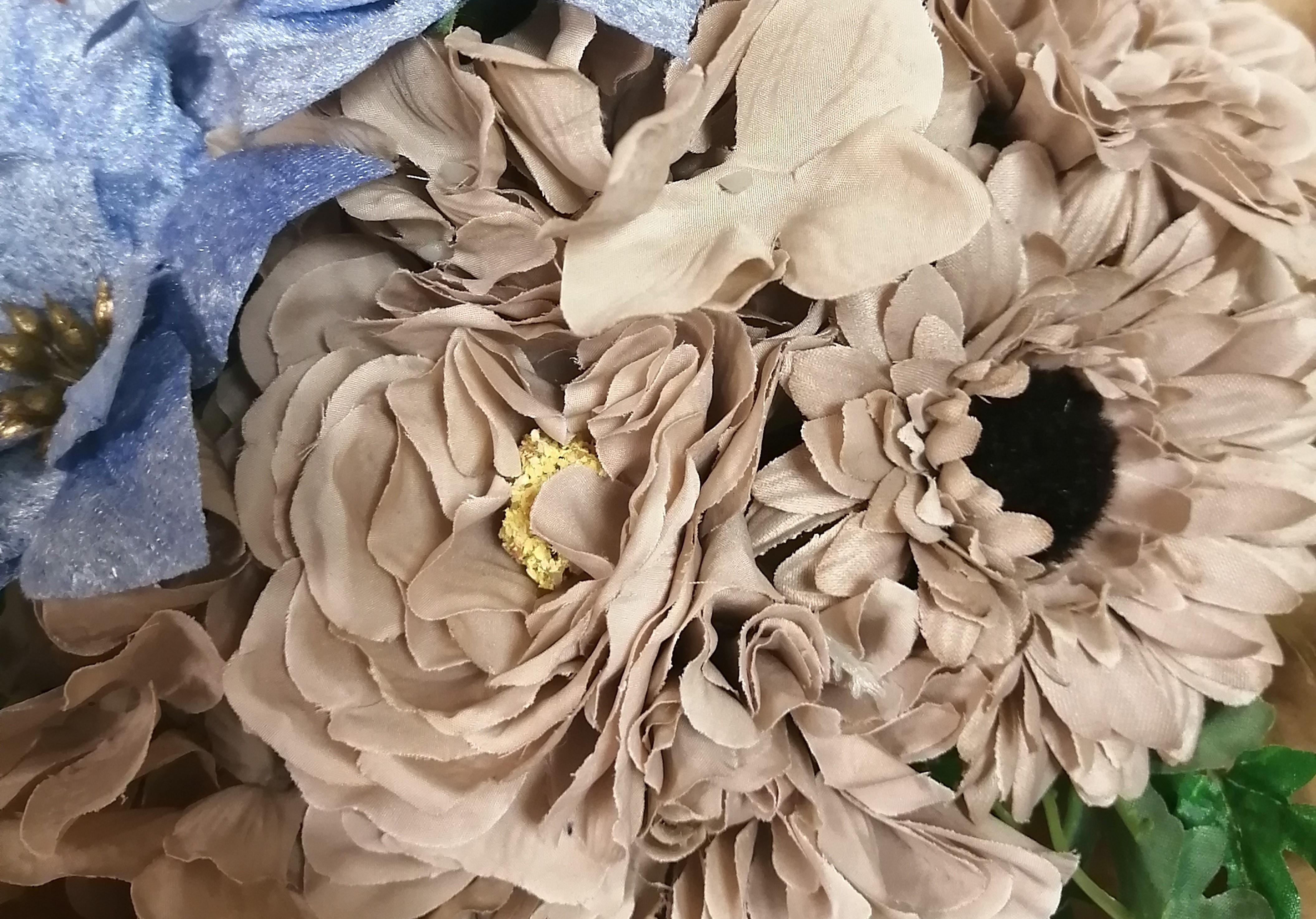 Home (Français) – 早瀬司法書士事務所